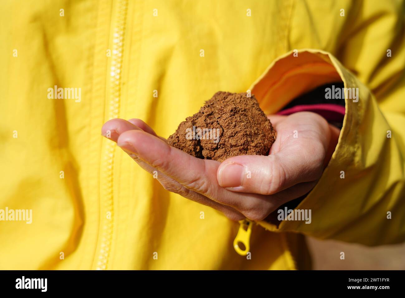 ecological and organic farming. Feeling the earth Stock Photo - Alamy