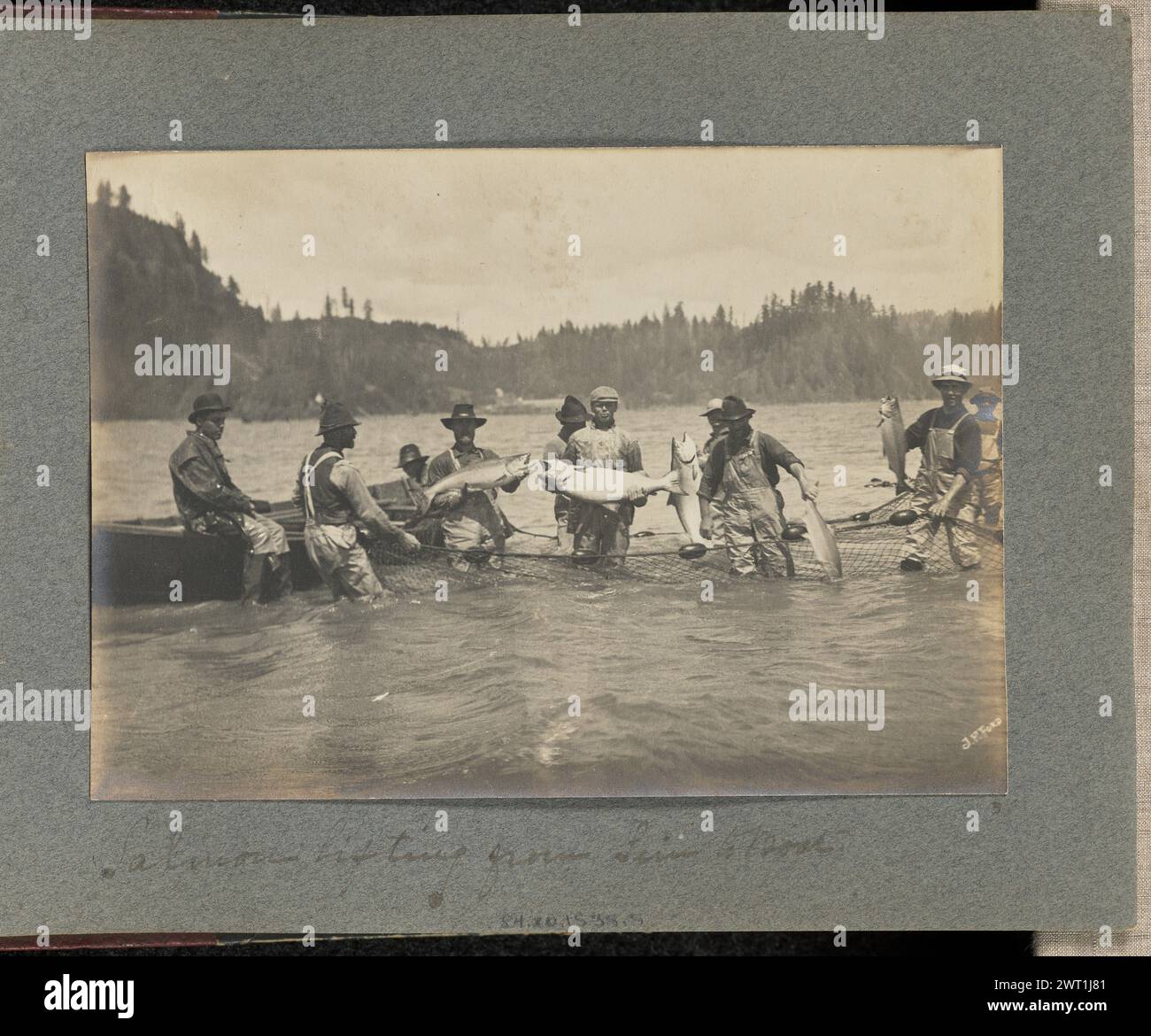 Salmon Lifting from Seine to Boat. J.F. Ford, photographer (American ...