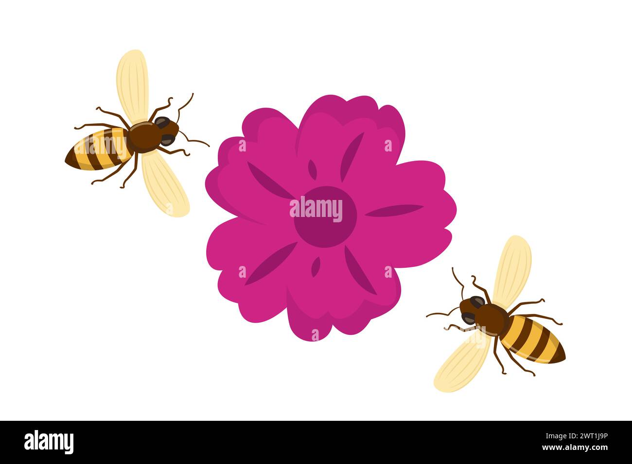 Happy bee flying. Honey bee flying to the flowers collecting nectar ...