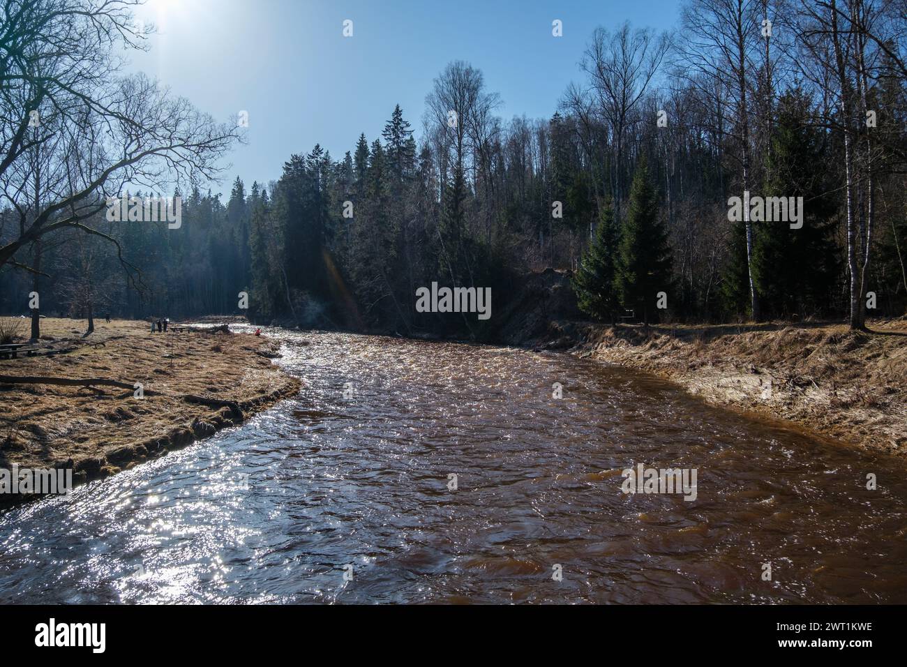 Visitcesis hi-res stock photography and images - Alamy