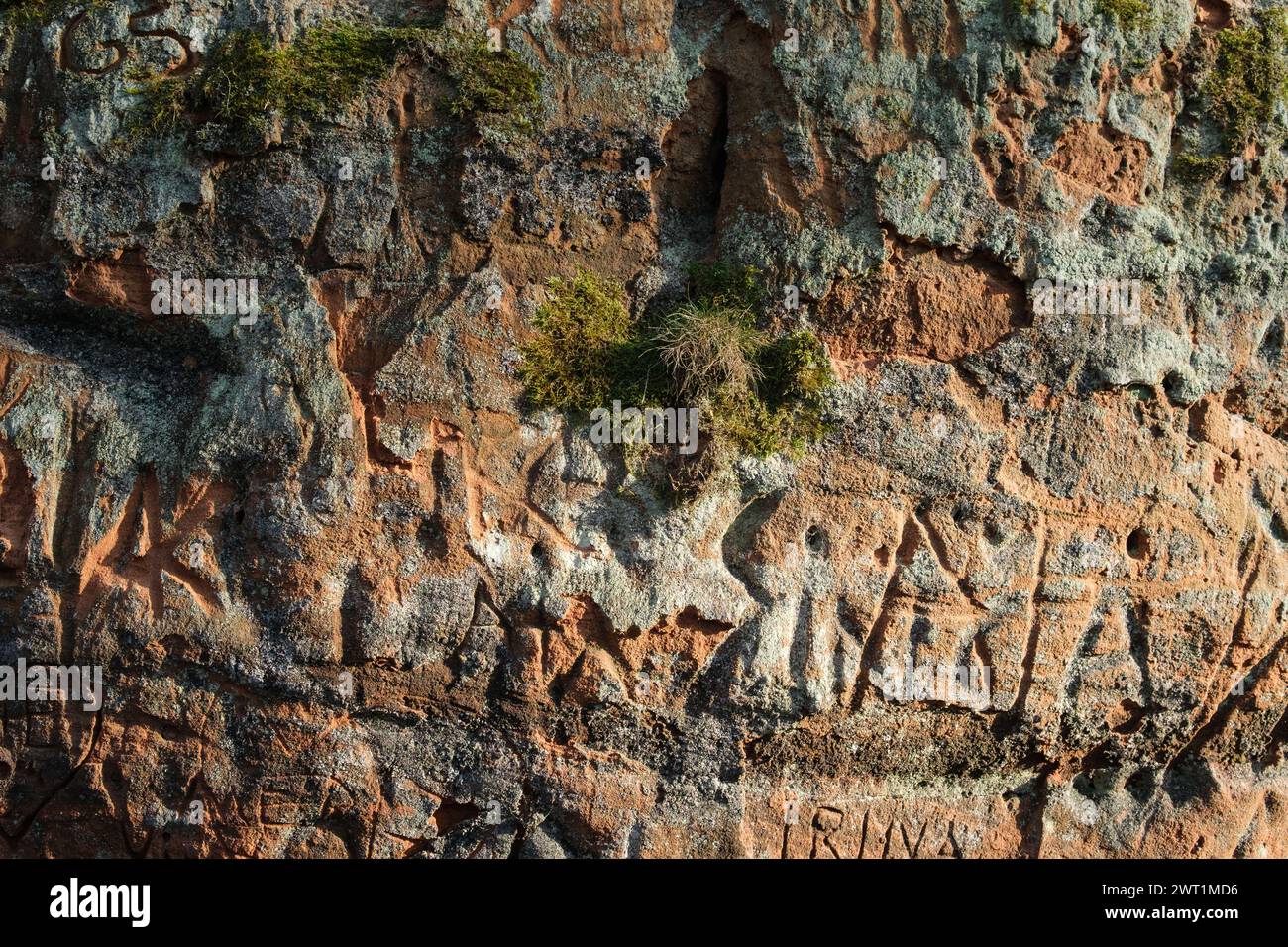 Embark on a journey of discovery through Cesis' oasis, Cirulisu Dabas ...