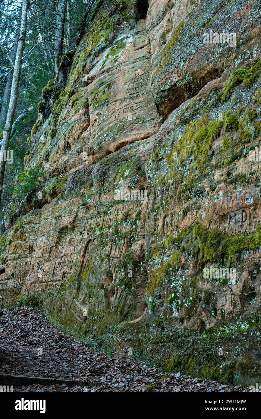 Against the backdrop of a clear blue sky, the red cliffs of Cesis rise ...