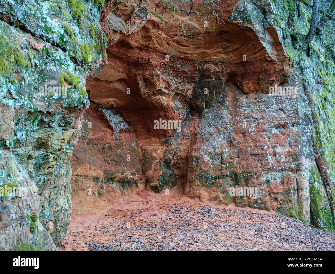 From afar, the red cliffs of Cesis appear as a fiery beacon, drawing ...