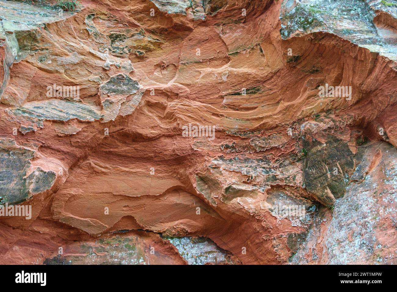 Venturing into the heart of the red cliffs of Cesis, visitors are ...