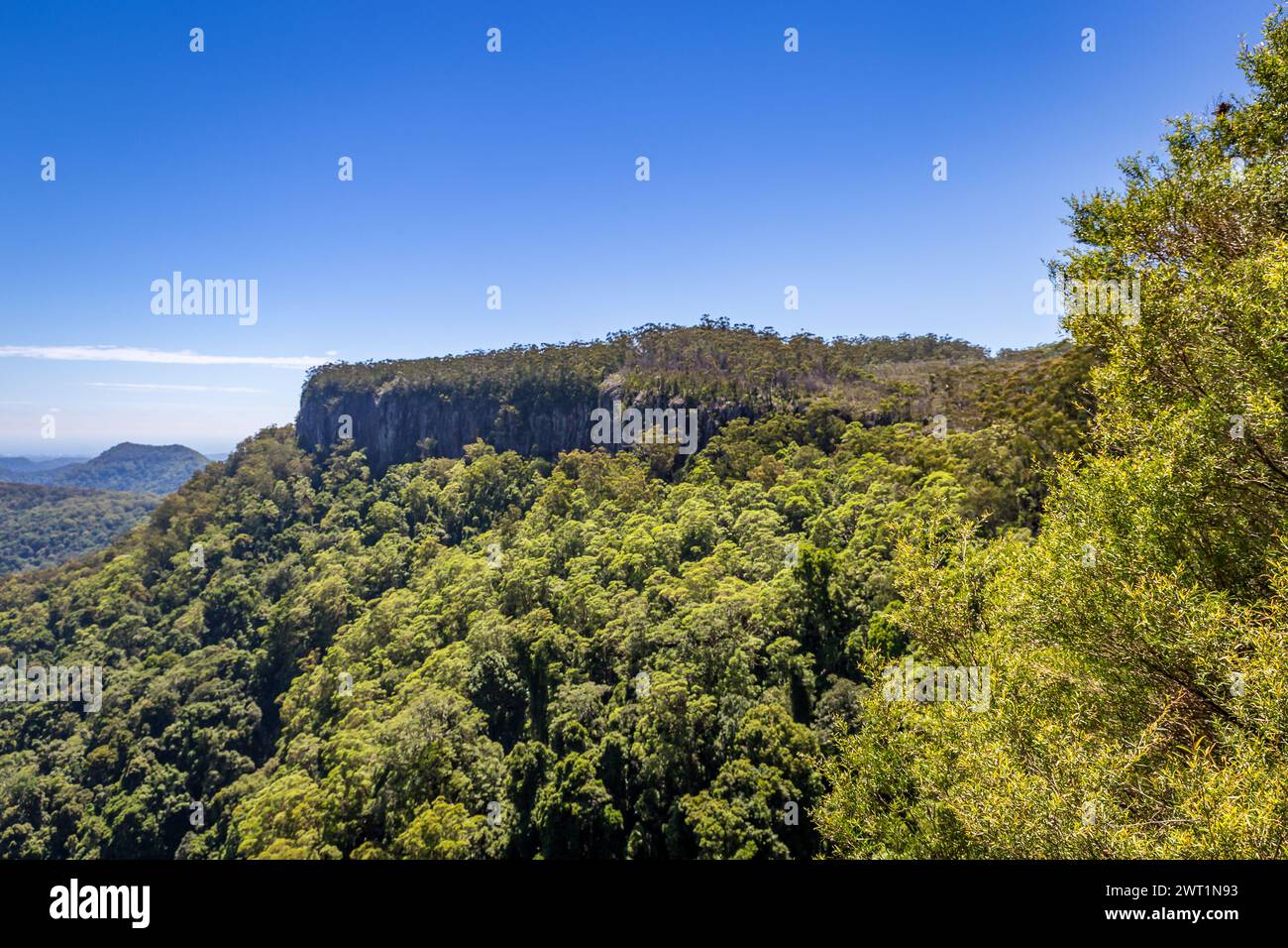 Rock Formation in Rainforest of Springbrook National Park, Queensland ...
