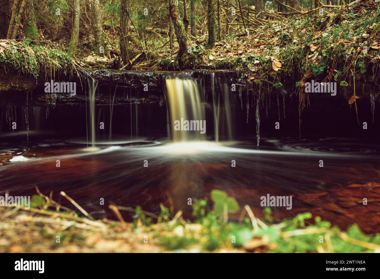 Untouched elegance hi-res stock photography and images - Alamy