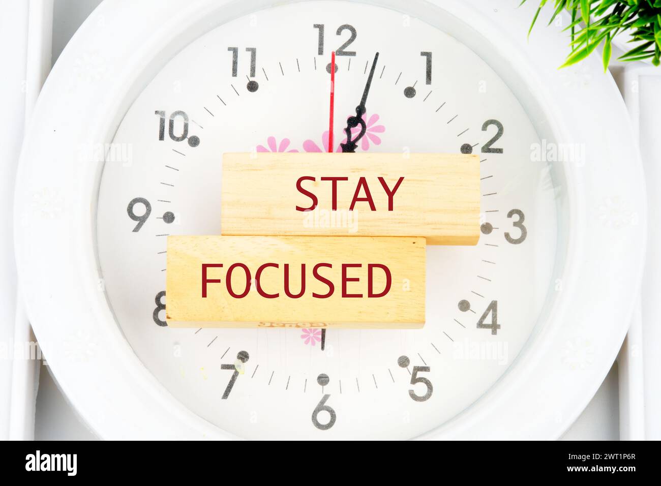 Motivation concept. STAY FOCUSED written on the wooden blocks on the ...