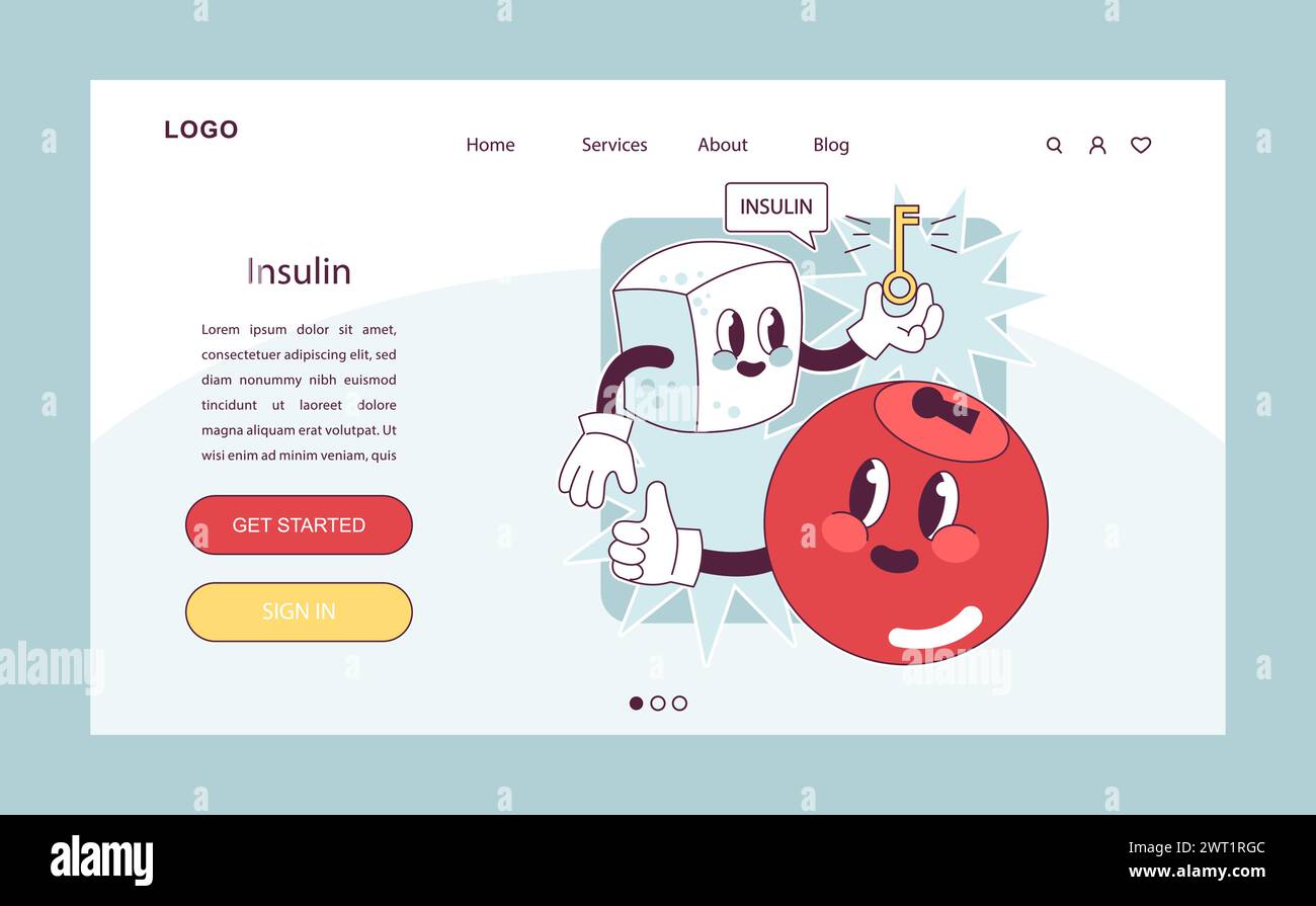 Endocrine system. Insulin function. Pancreas gland hormones secretion ...