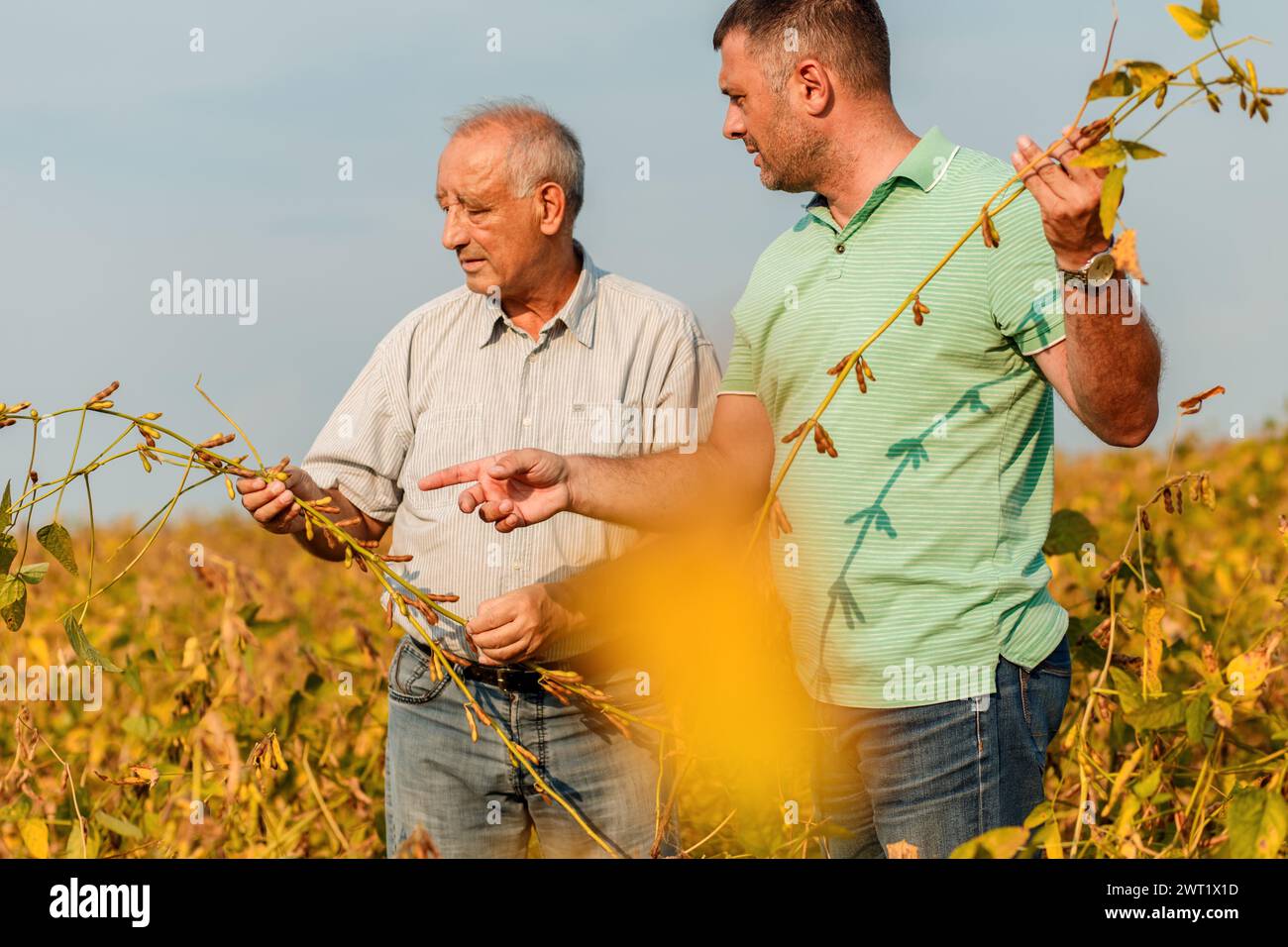 Agriculture farming two farmers men hi-res stock photography and images ...