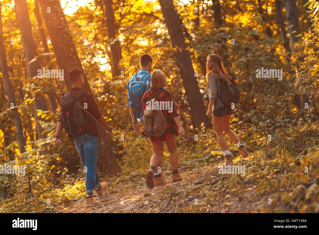 Group of four friends having fun hiking through forest together Stock ...