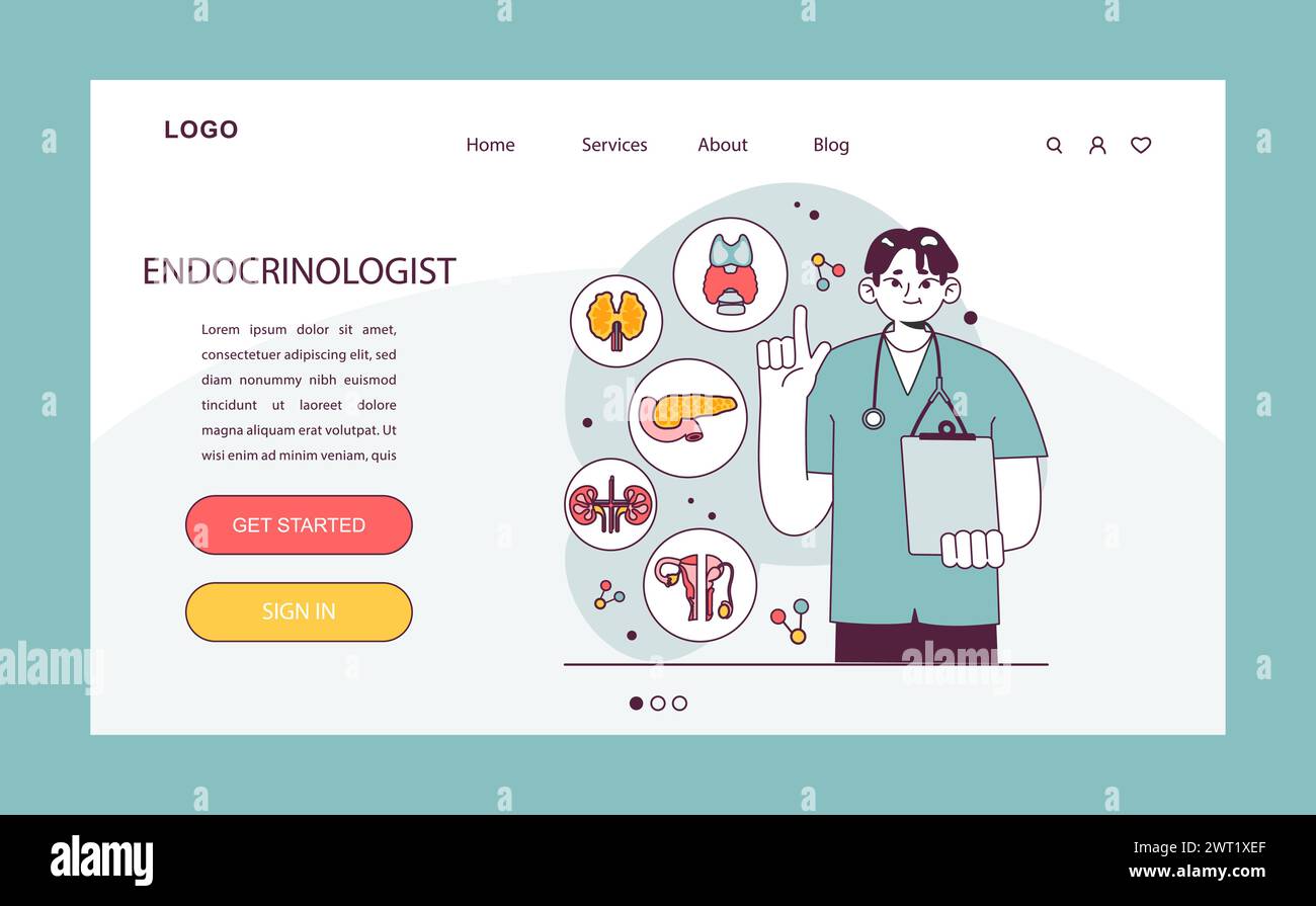 Endocrinology. Endocrine system organs, pancreas thyroid gland ... Endocrinology. Endocrine system organs, pancreas thyroid gland ...