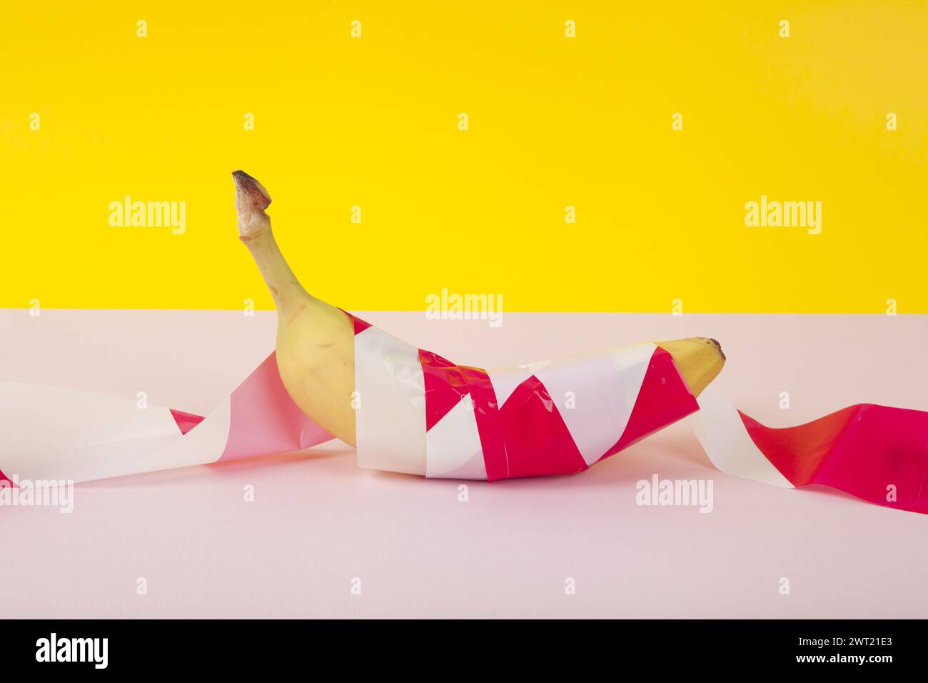 a ripe banana, wrapped in a red and white plastic ribbon, held captive ...