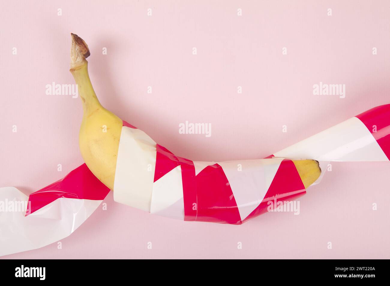 a ripe banana, wrapped in a red and white plastic ribbon, held captive ...