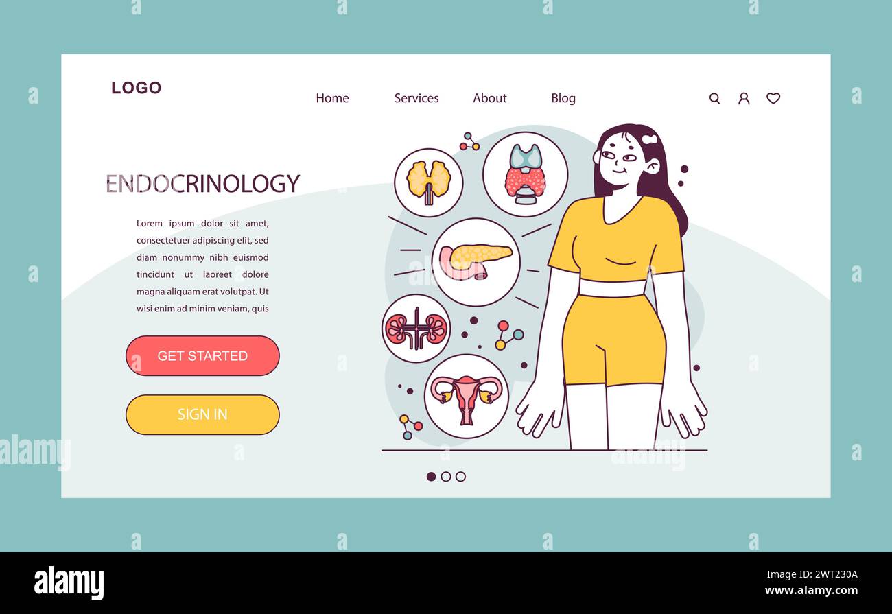 Endocrinology web banner or landing page. Endocrine system organs ...