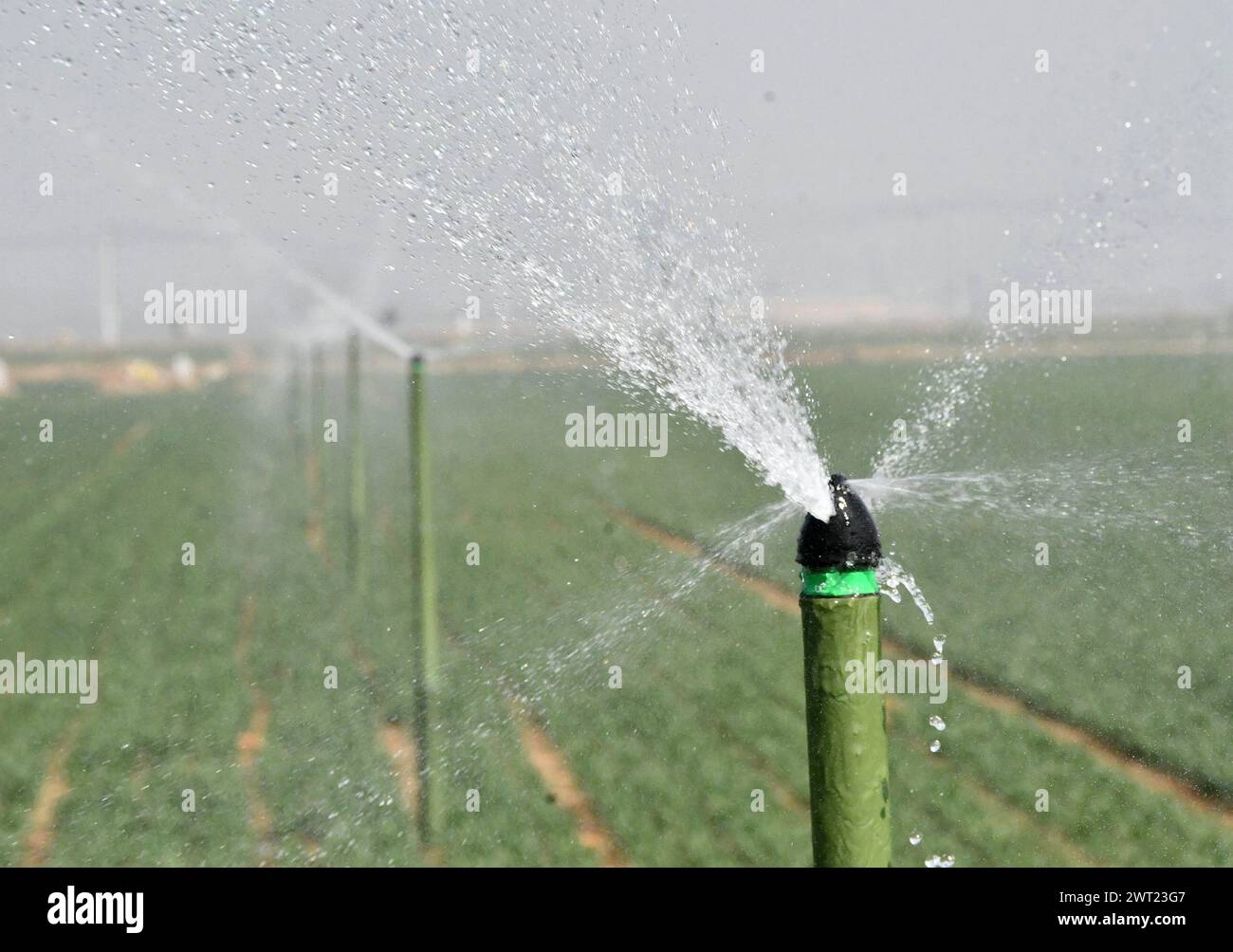 Handan water hi-res stock photography and images - Alamy