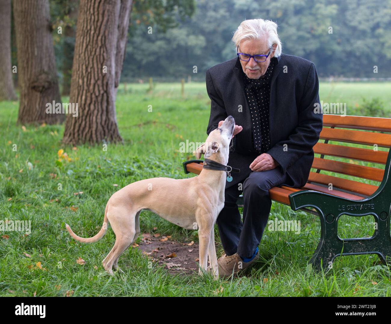 Portrait of Jan Siebelink, famous Dutch writer. Nethelands - vvbvanbree ...