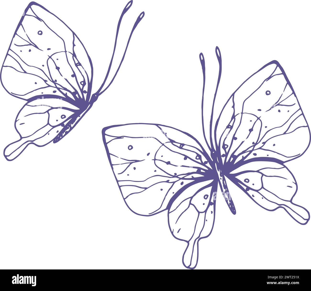 Delicate butterflies with patterns on the wings, simple, sweet, light ...