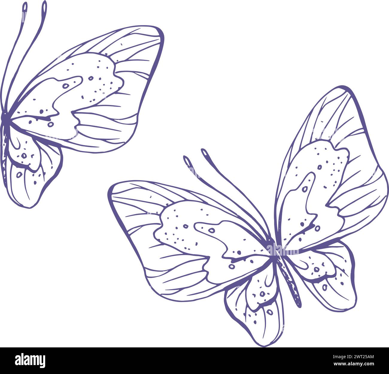 Delicate butterflies with patterns on the wings, simple, sweet, light ...