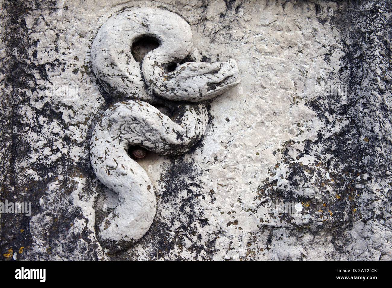 Serpente romano hi-res stock photography and images - Alamy