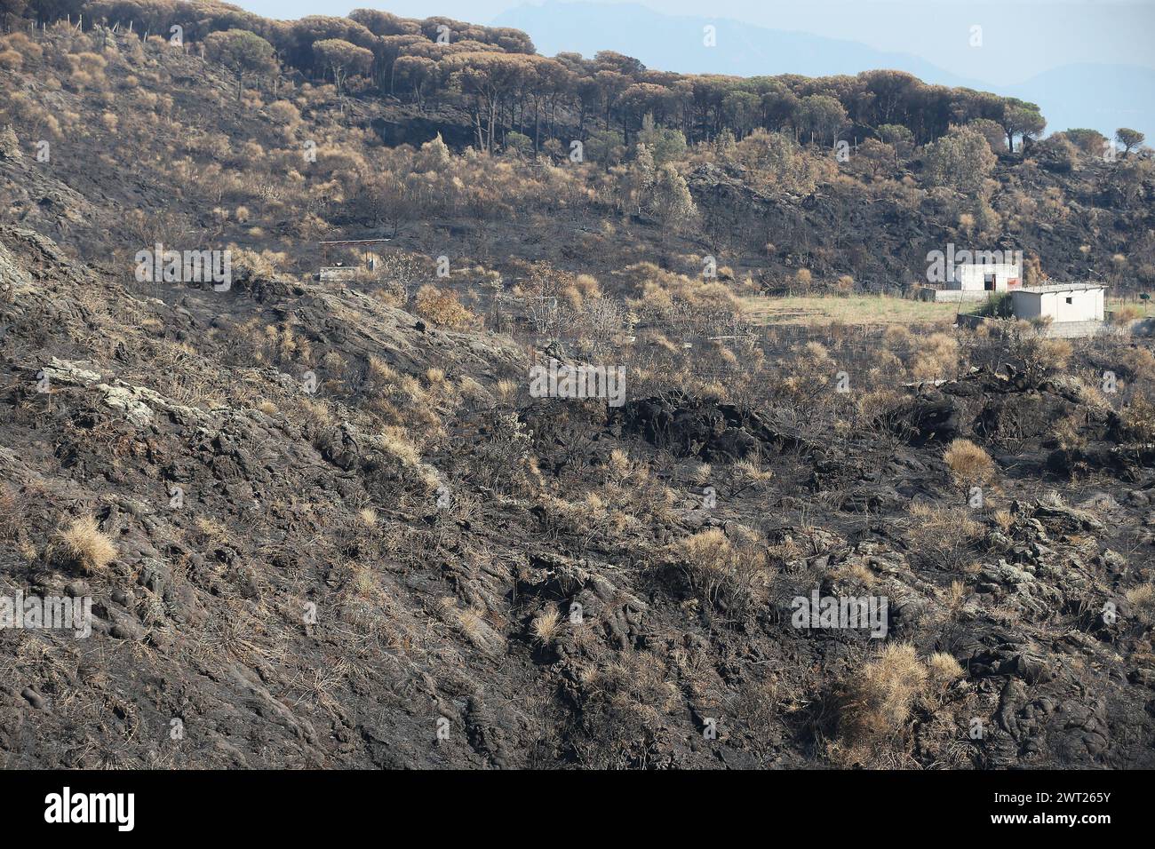 Environmental disaster on Vesuvius. After the vast fire began on eleven ...