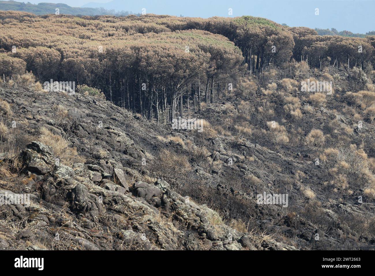 Environmental disaster on Vesuvius. After the vast fire began on eleven ...