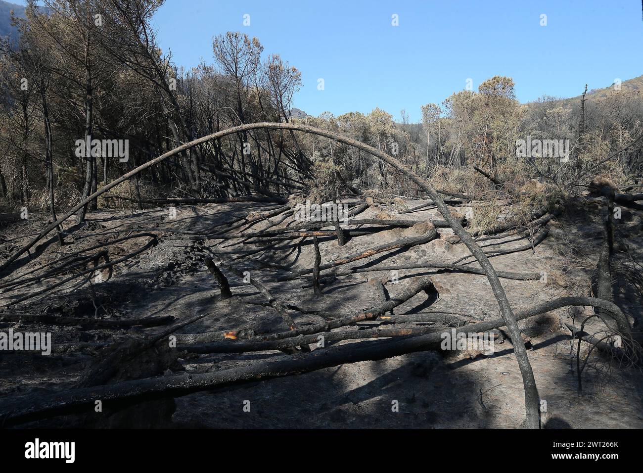 Environmental disaster on Vesuvius. After the vast fire began on eleven ...