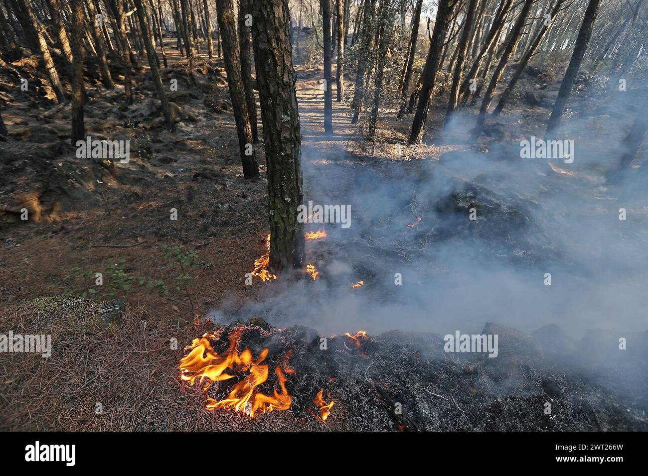 Environmental disaster on Vesuvius. After the vast fire began on eleven ...