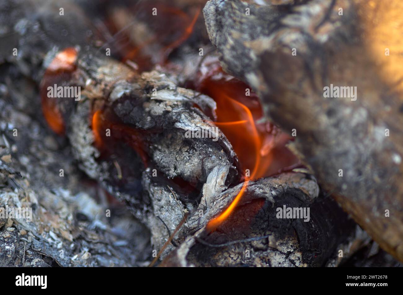 Burning hot coal in close hi-res stock photography and images - Alamy
