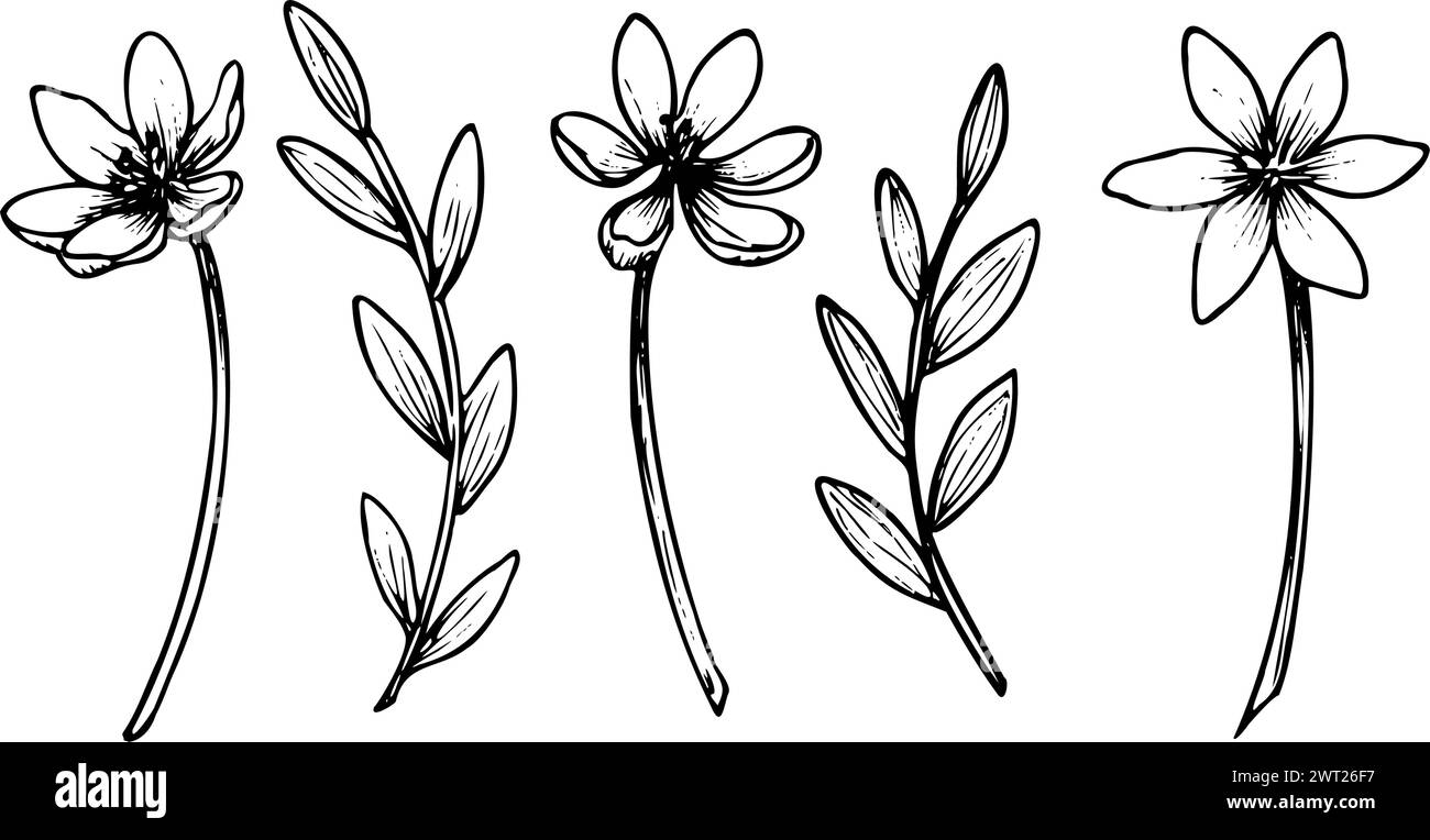 Set wedding invitations flowers Black and White Stock Photos & Images ...