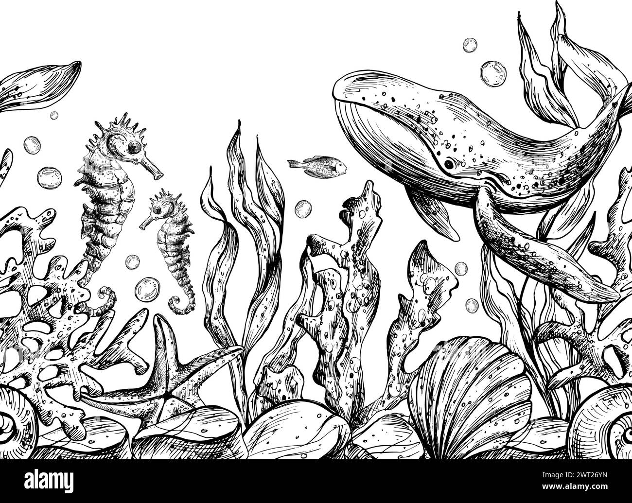 Clipart Seahorse Black And White