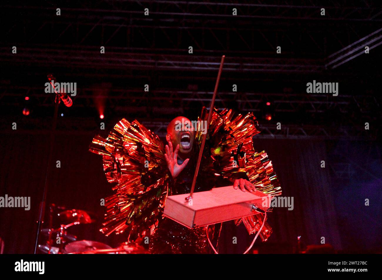 Skin, singer and voice of rock group Skunk Anansie, in concert during ...