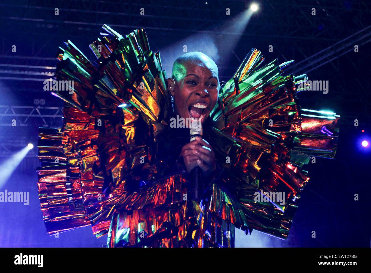 Skin, singer and voice of rock group Skunk Anansie, in concert during ...