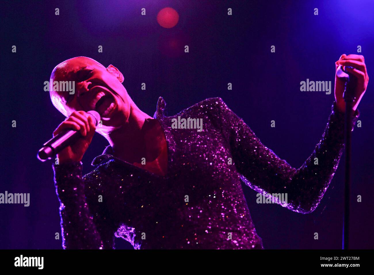 Skin, singer and voice of rock group Skunk Anansie, in concert during ...