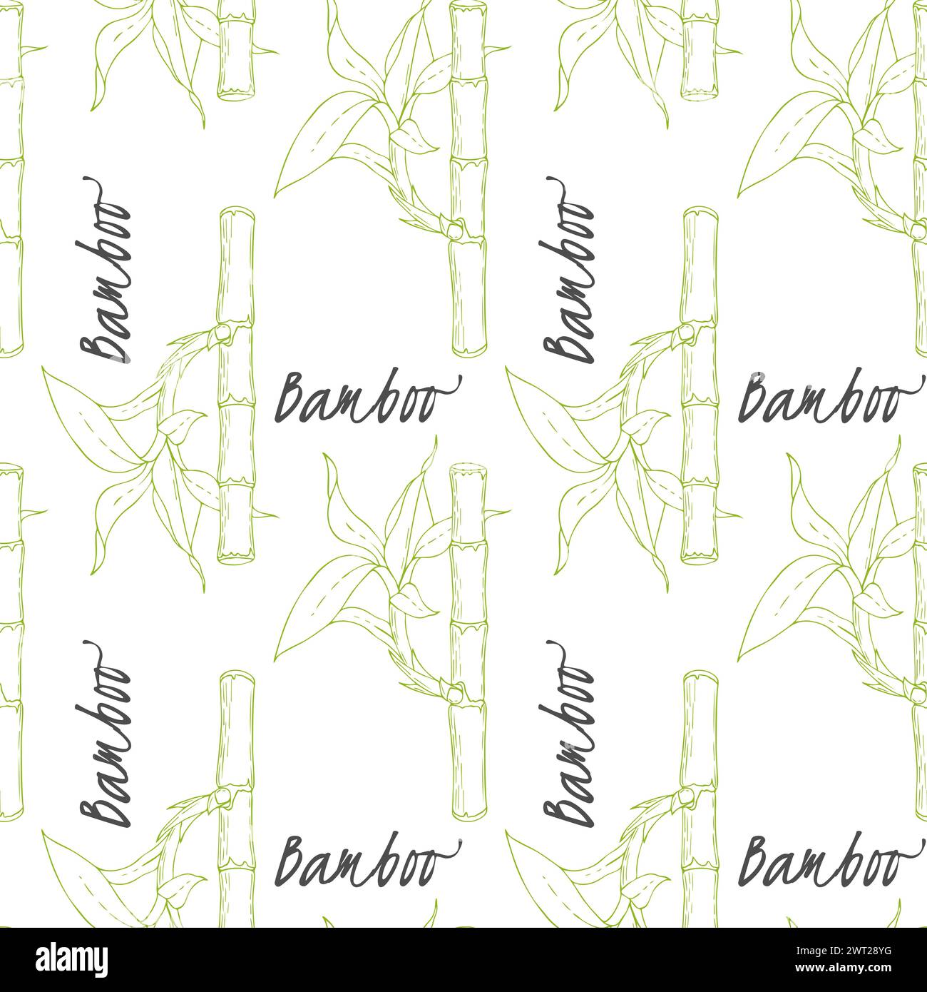 Pattern of Bamboo sticks and leaves on white background. Vector ...