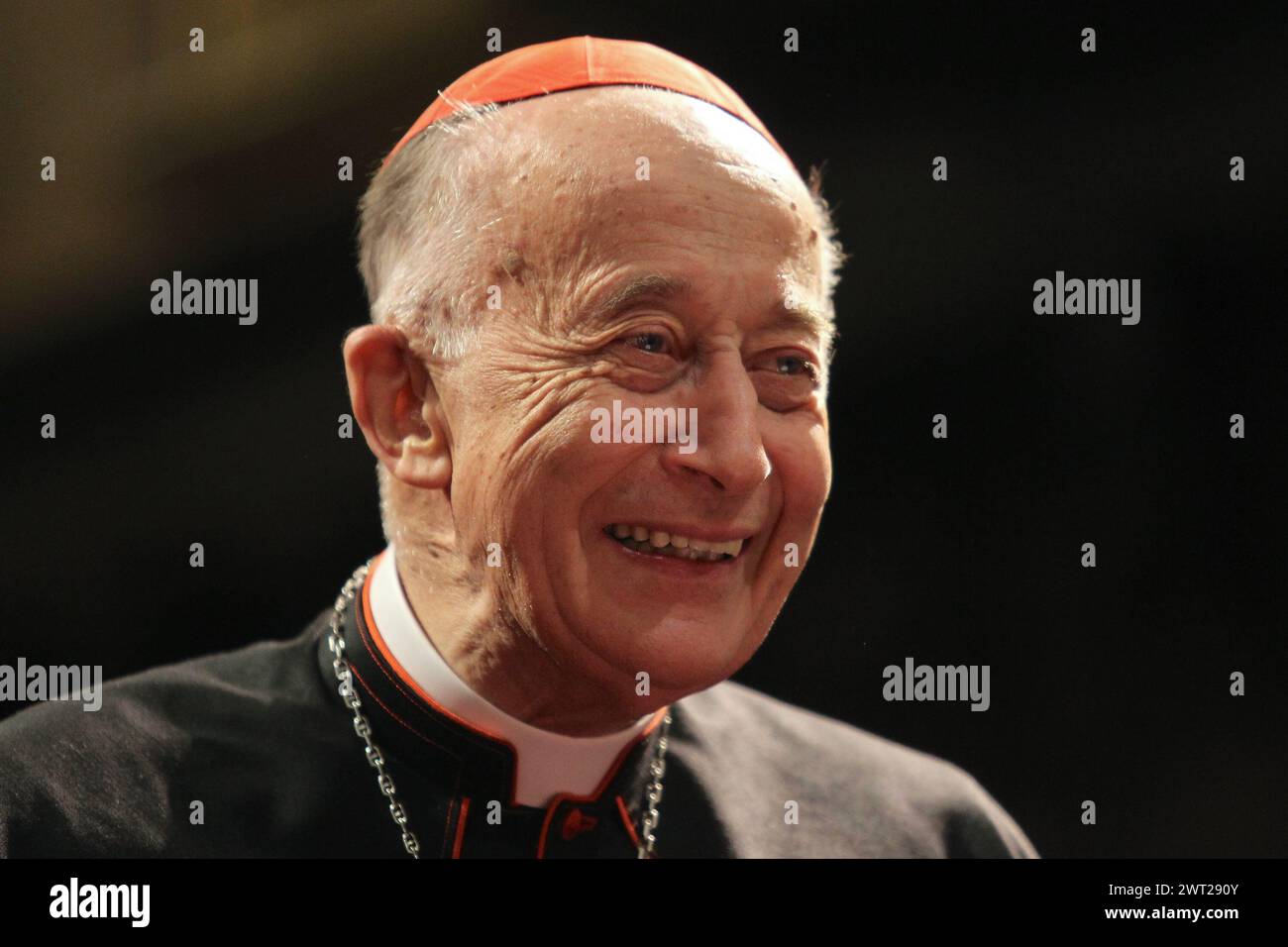 Cardinal camillo ruini hi-res stock photography and images - Alamy