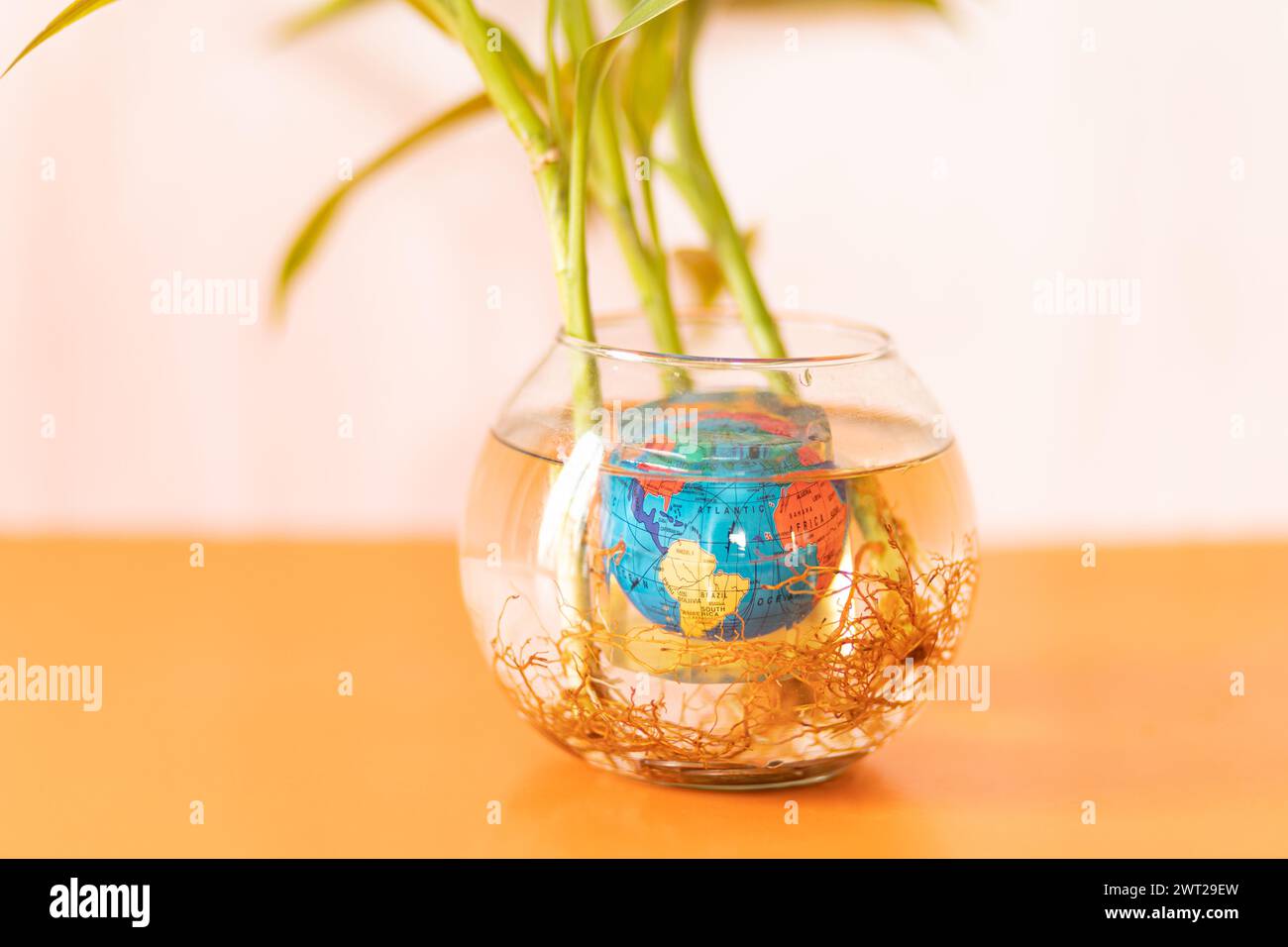 Earth Day celebrates environmental protection and raises awareness ...