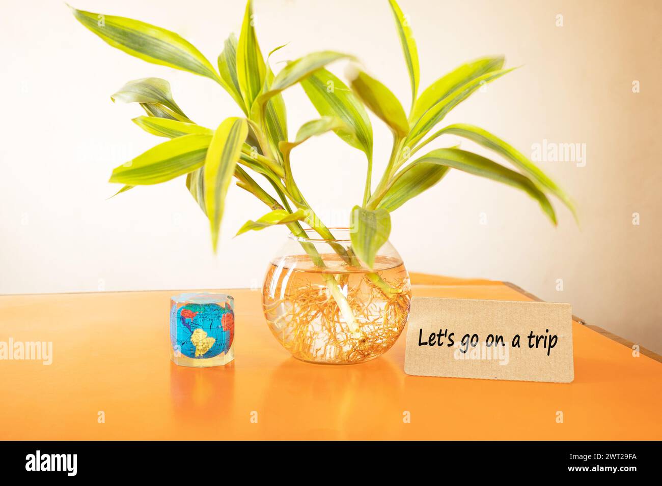 Earth Day celebrates environmental protection and raises awareness ...