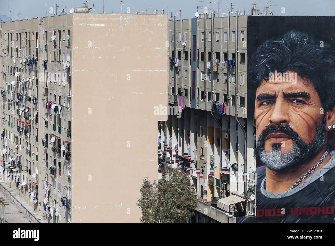Giant Diego Armando Maradona murals, in the popular neighborhood of San ...