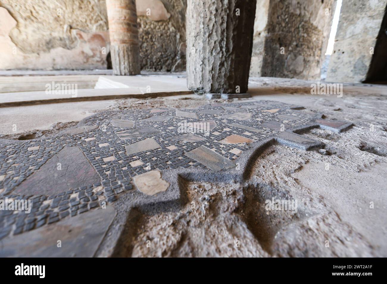The mosaic floor inside the Championnet complex, one of the new ...