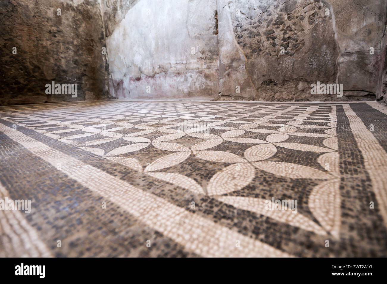 The mosaic floor inside the Championnet complex, one of the new ...