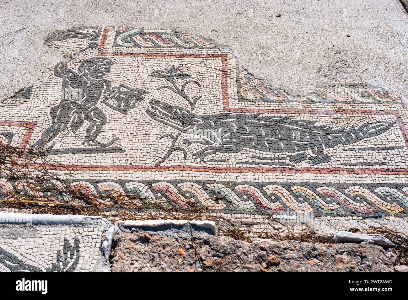 Close-up on ancient roman decorative mosaid showing a man fighting an ...