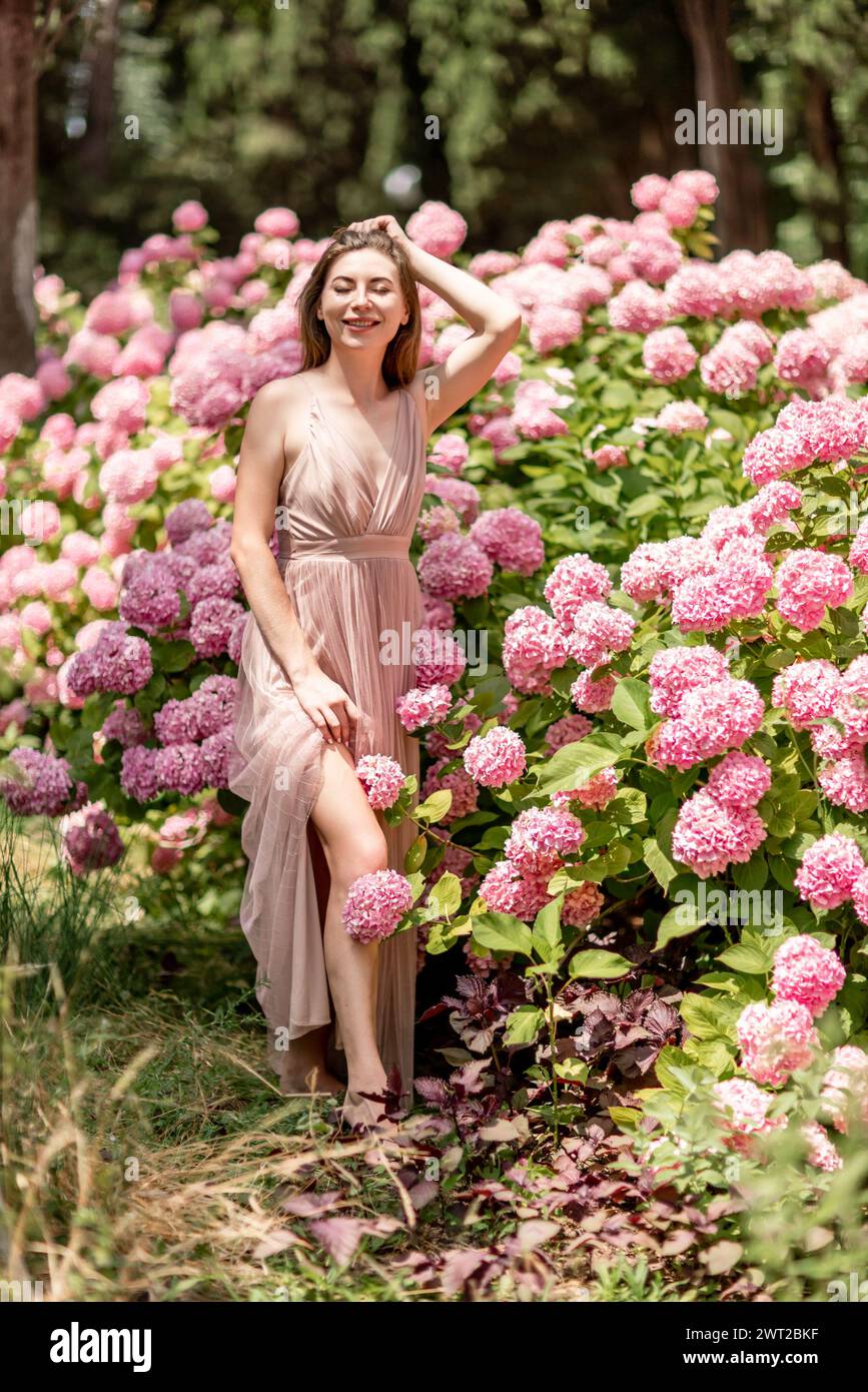 Hydrangeas Happy woman in pink dress amid hydrangeas. Large pink ...