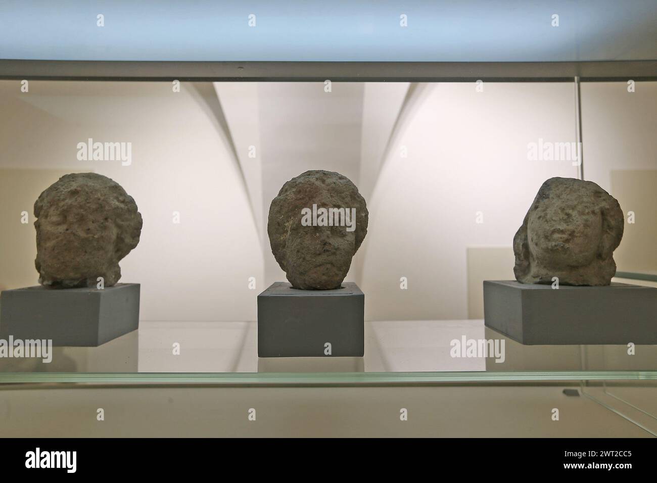 Some of the heads of Matres Matutae at the Campano museum of Capua ...