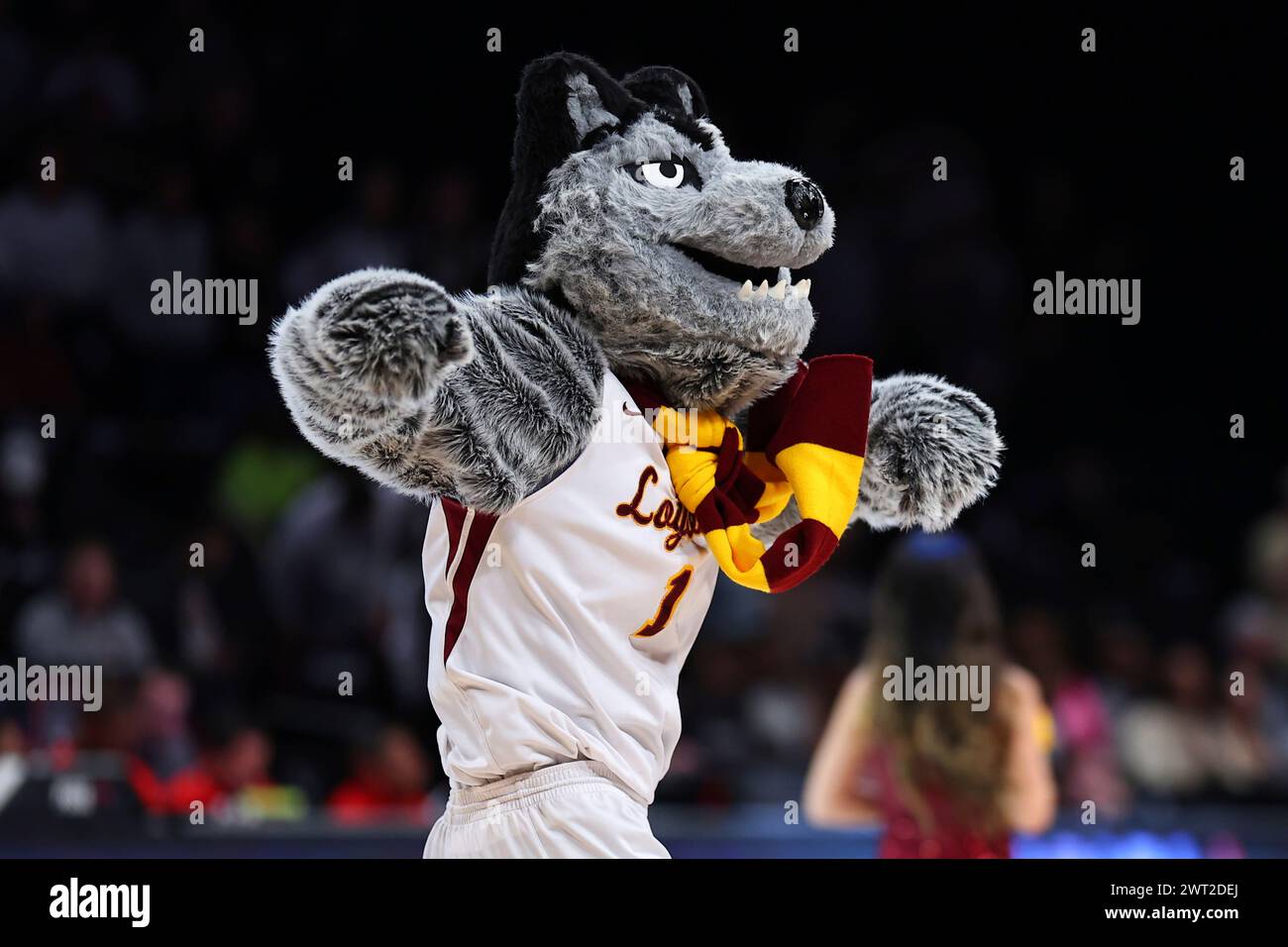 BROOKLYN, NY - MARCH 14: The Loyola (Il) Ramblers mascot Lu Wolf during ...