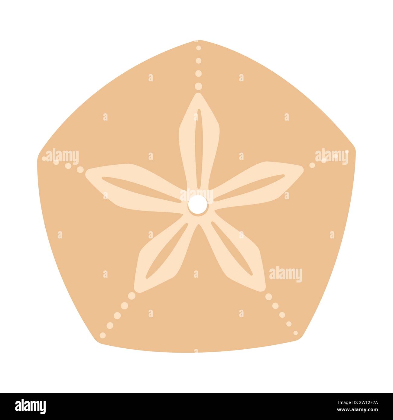 Sand dollar fossil for decoration on marine life and coastal style ...