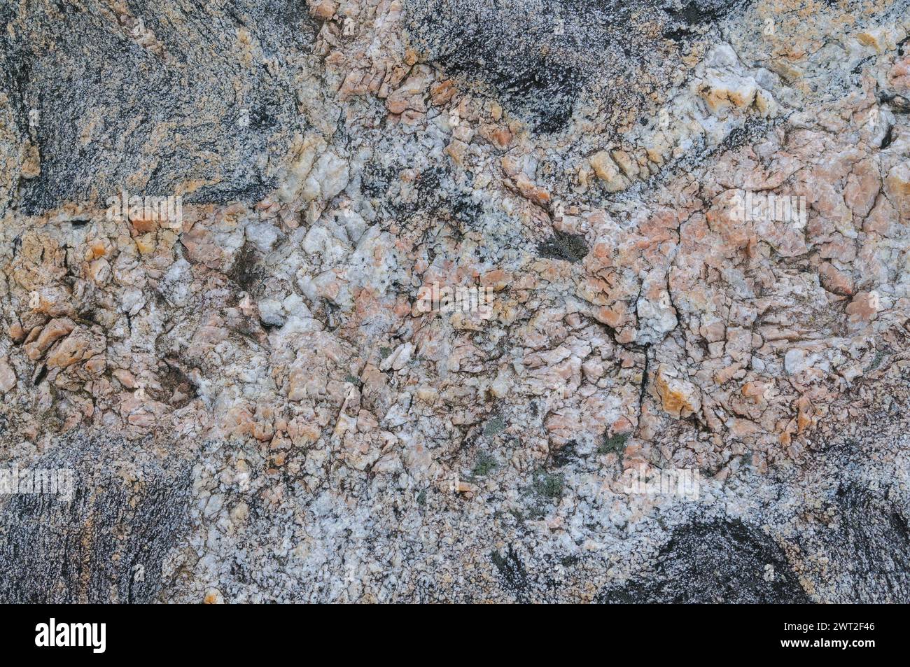 Detailed look at the natural patterns and colors of a granite rock ...