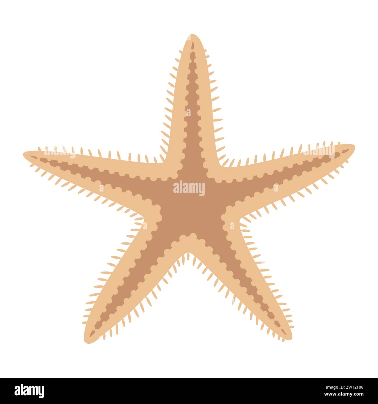 Dried starfish. Starfish icon flat style. Sea animal cartoon style ...