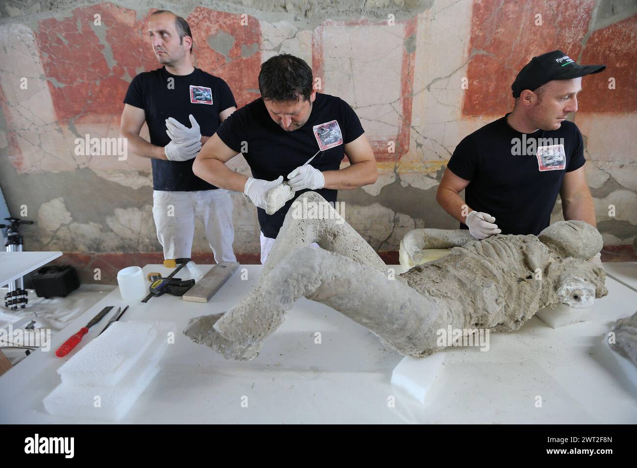 Restores at work on one of the plaster casts in the excavations of Pompeii. The casts of the ...