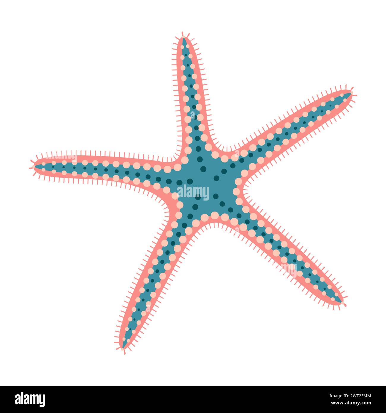 Starfish flat style. Sand Sifting Starfish icon. Sea animal cartoon ...