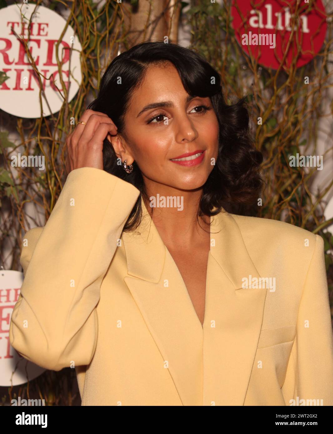 London, UK. Anji Mohindra at The Red King TV series premiere. Number ...